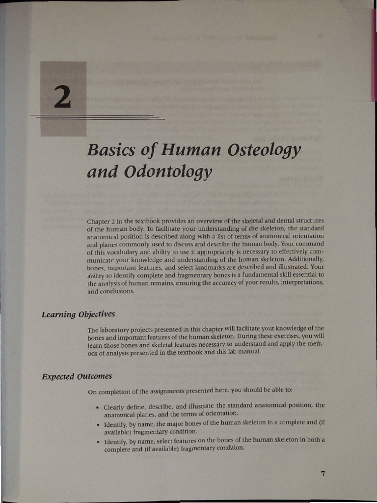 Human Osteology and Odontology Basics | PDF | Human Nose | Vertebra