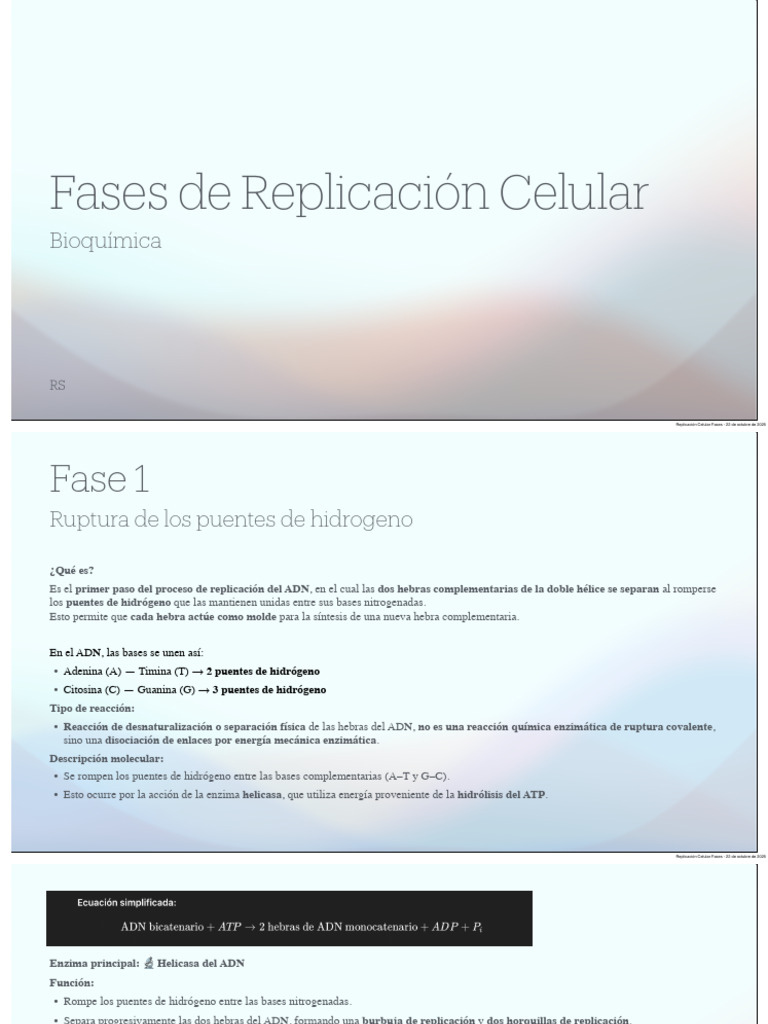 Replicación Celular Fases Pdf Replicación De Adn Adn 1728