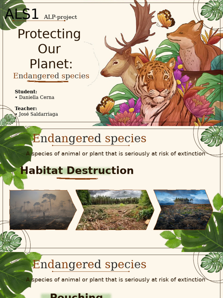ALP PROJECT - ALS1 | PDF | Endangered Species | Conservation Biology