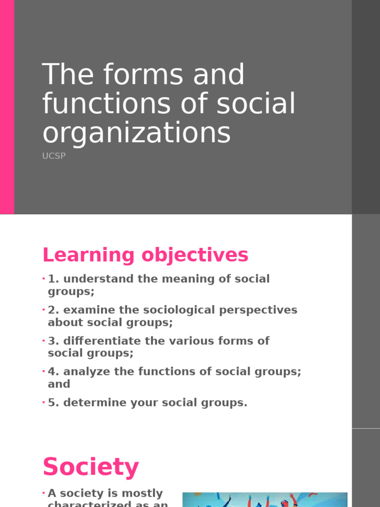 Understanding Social Groups and Their Functions | PDF | Behavioural ...