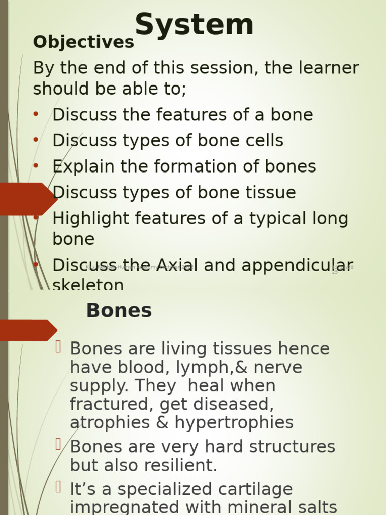 Understanding Bone Structure and Function | PDF | Bone | Osteoblast