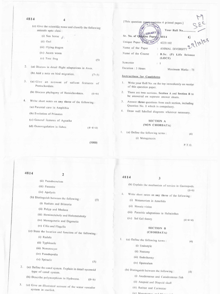 Animal Diversity 1st Sem SDT | PDF