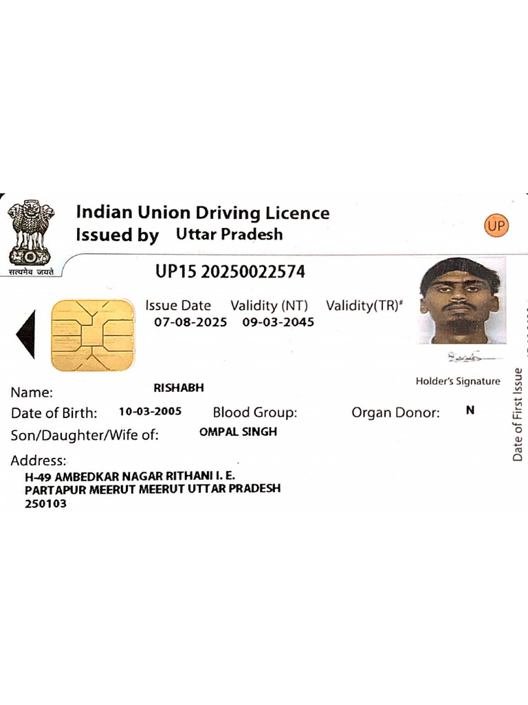 DL | PDF