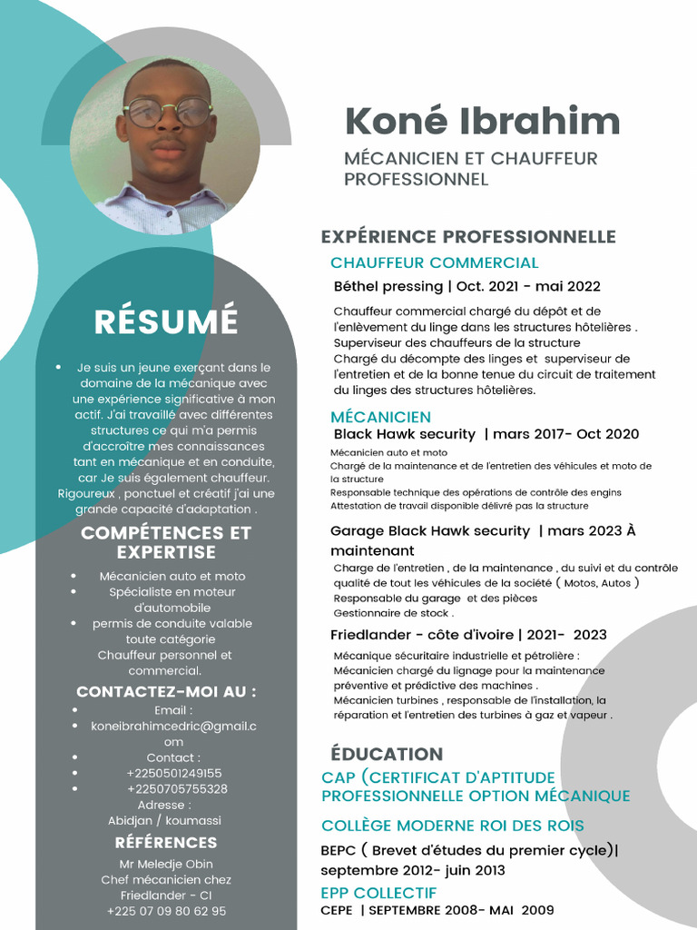 CV Ibrahim Koné | PDF