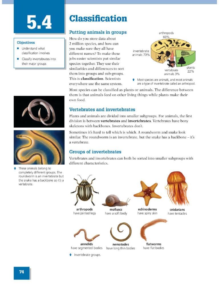 Textbook Checkpoint Complete Biology Cambridge Secondary 1-1 - 6 | PDF