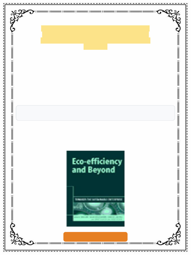 Eco Efficiency and Beyond Towards the Sustainable Enterprise 1st ...