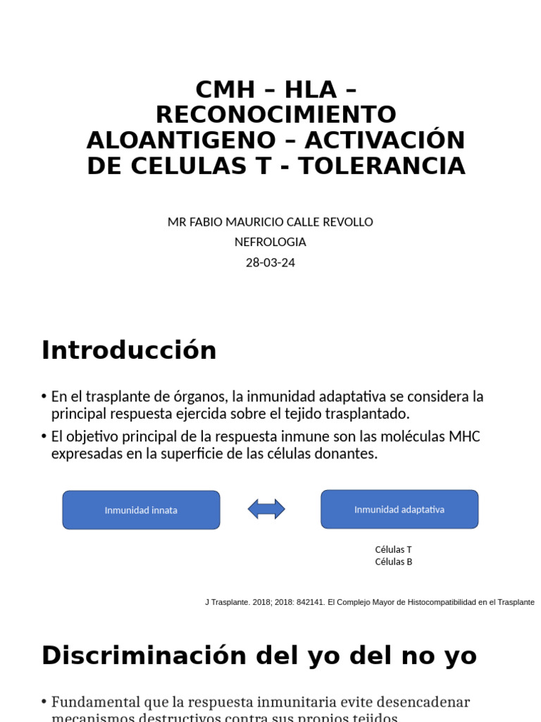 CMH - Hla - Reconocimiento Aloantigeno - Activación | PDF | Complejo ...