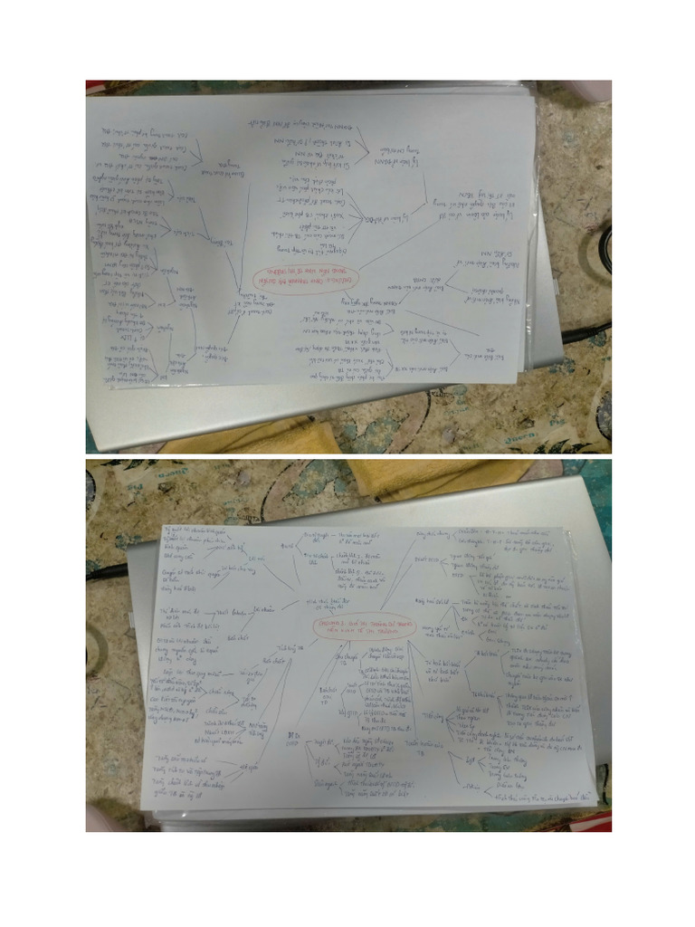 Mind Map | PDF