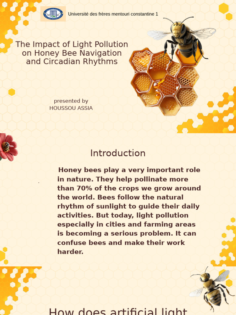 Light Pollution Effects on Honey Bees | PDF | Bees | Circadian Rhythm