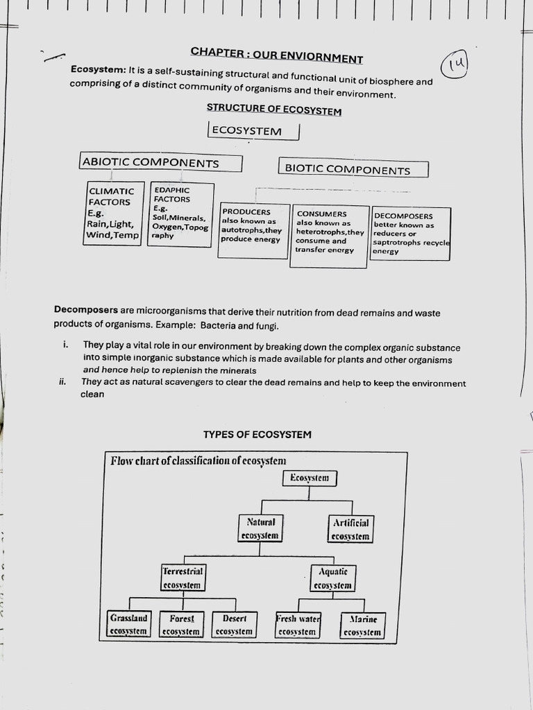 Our Environment Bio Notes | PDF | Food Web | Ozone Depletion