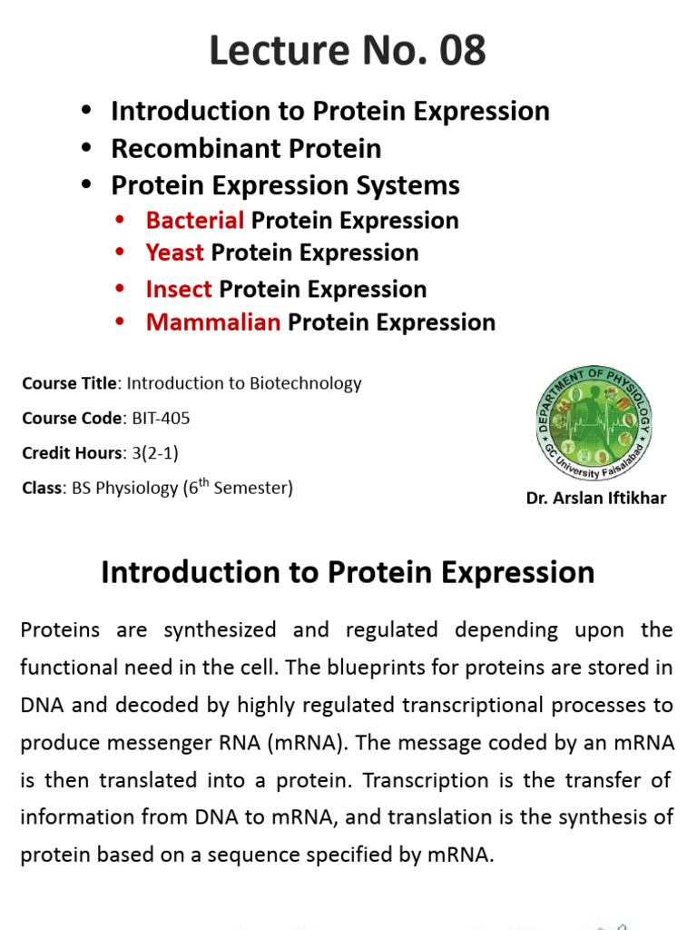 Lecture 8 Protein Expression System | PDF | Gene Expression ...