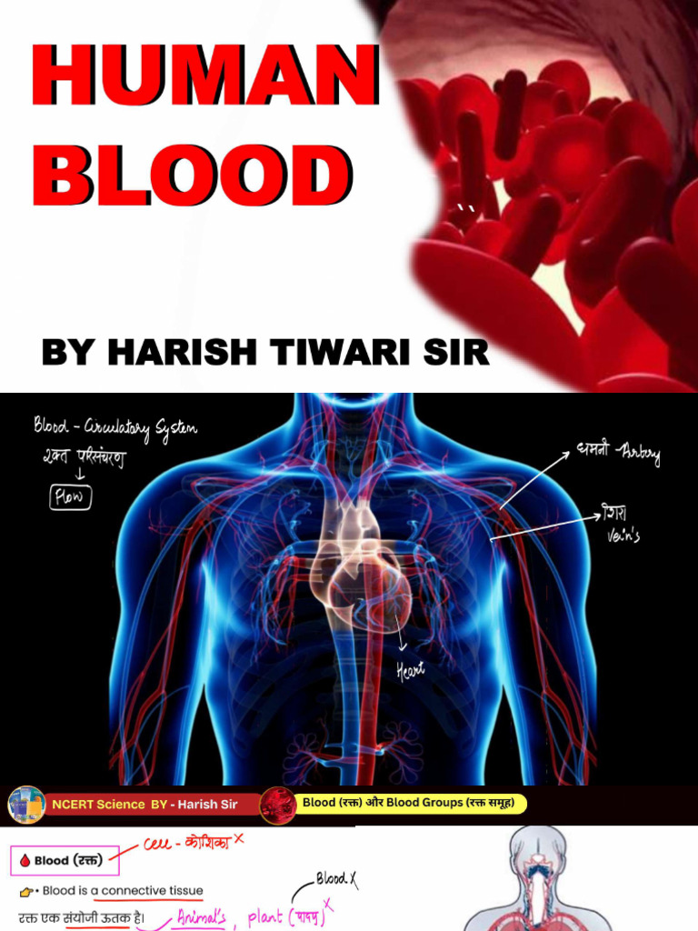 Blood Class 01 | PDF