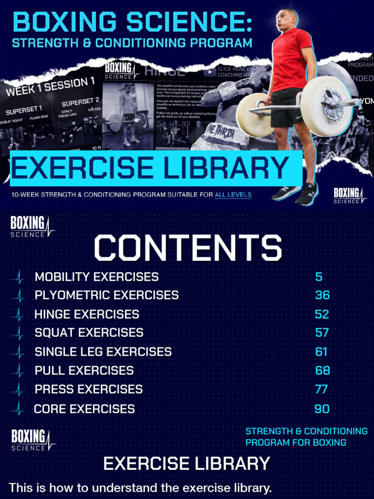 Comprehensive Boxing Exercise Library | PDF | Anatomical Terms Of ...