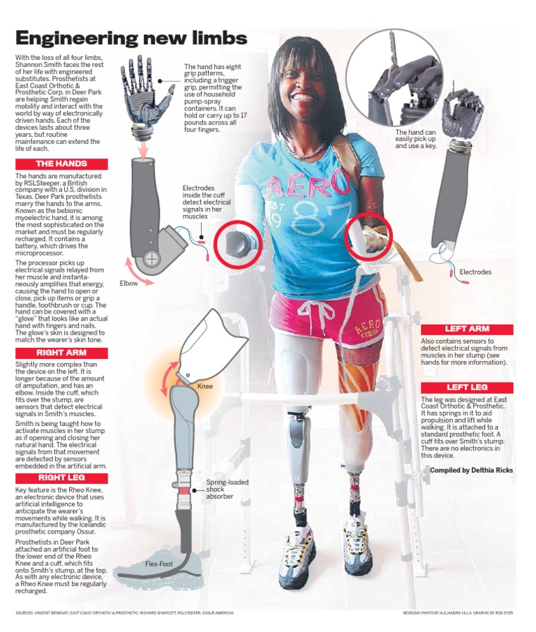 Engineering New Limbs | PDF | Prosthesis | Computing And Information ...