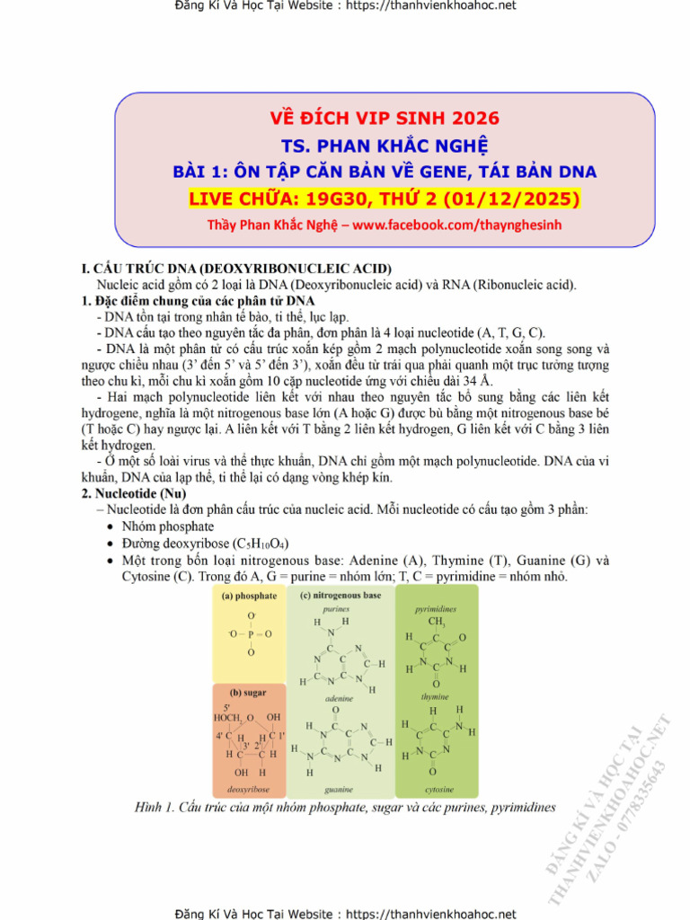 Bài 1. Gene Và DNA | PDF