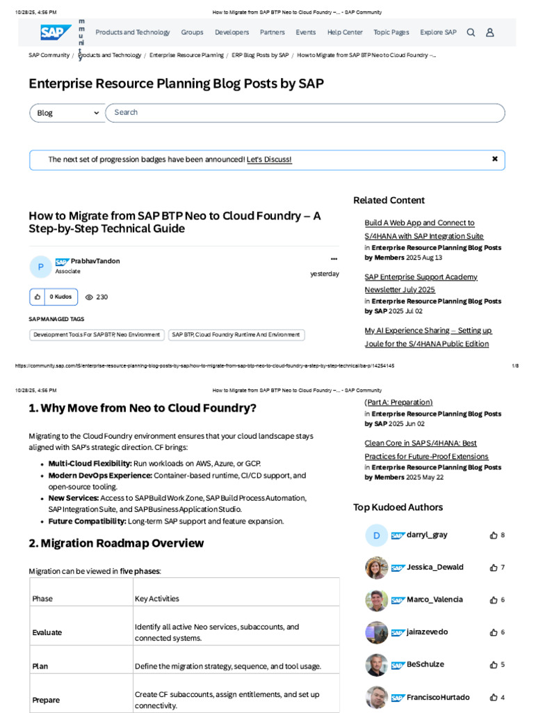Migrate SAP BTP Neo to Cloud Foundry Guide | PDF | Enterprise Resource ...