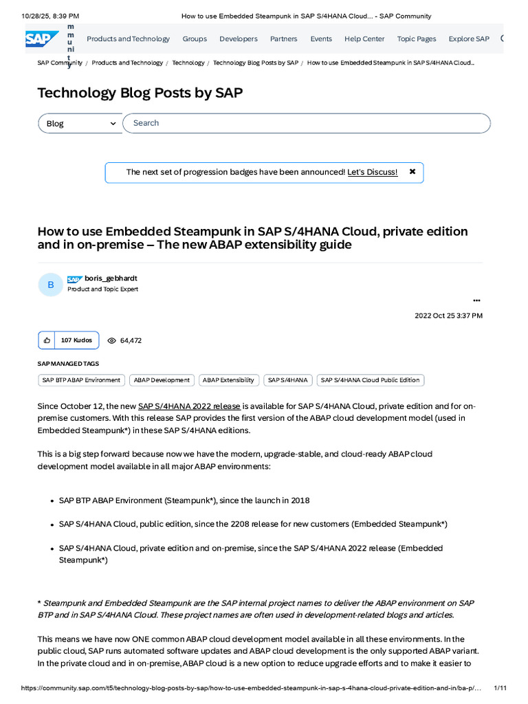 Embedded Steampunk in SAP S/4HANA Guide | PDF | Cloud Computing ...