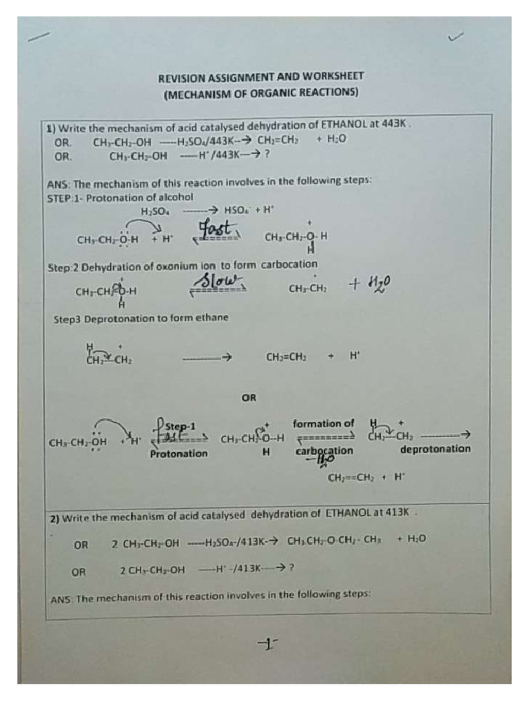 Mechanism of Organic Reactions | PDF