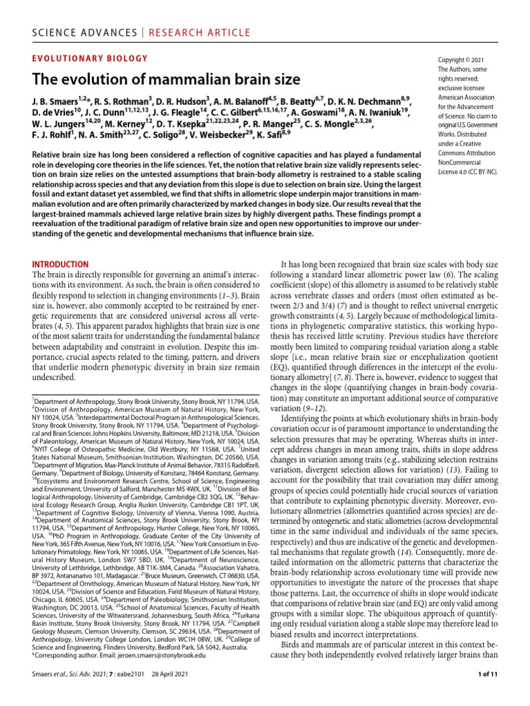 Evolution of Mammalian Brain Size | PDF | Mammals | Neocortex