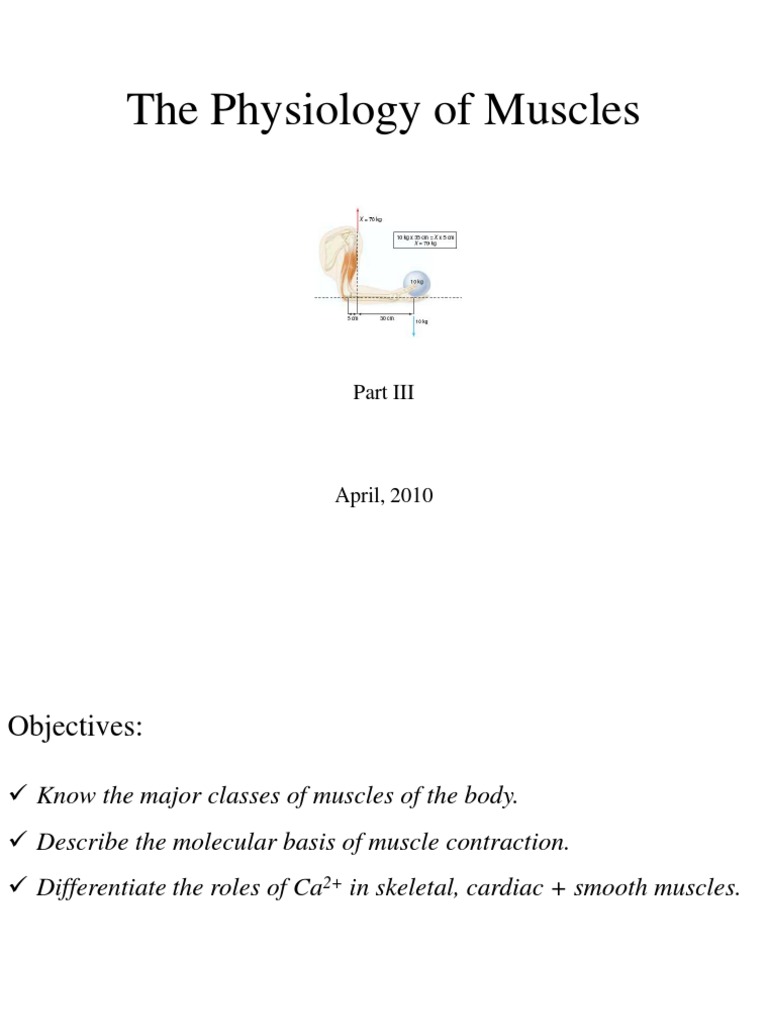 7.the Physiology of Muscle | PDF | Muscle Contraction | Skeletal Muscle