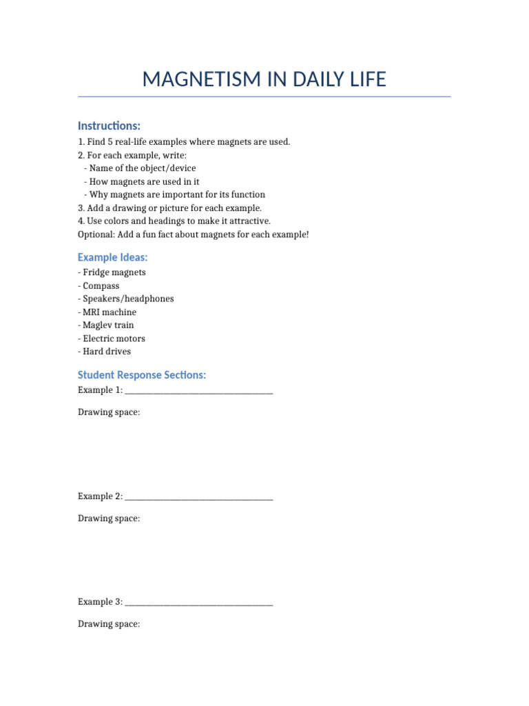 Magnetism in Daily Life Assignment | PDF