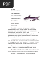 Hito Farming Guide for Beginners | PDF | Fish | Spawn (Biology)