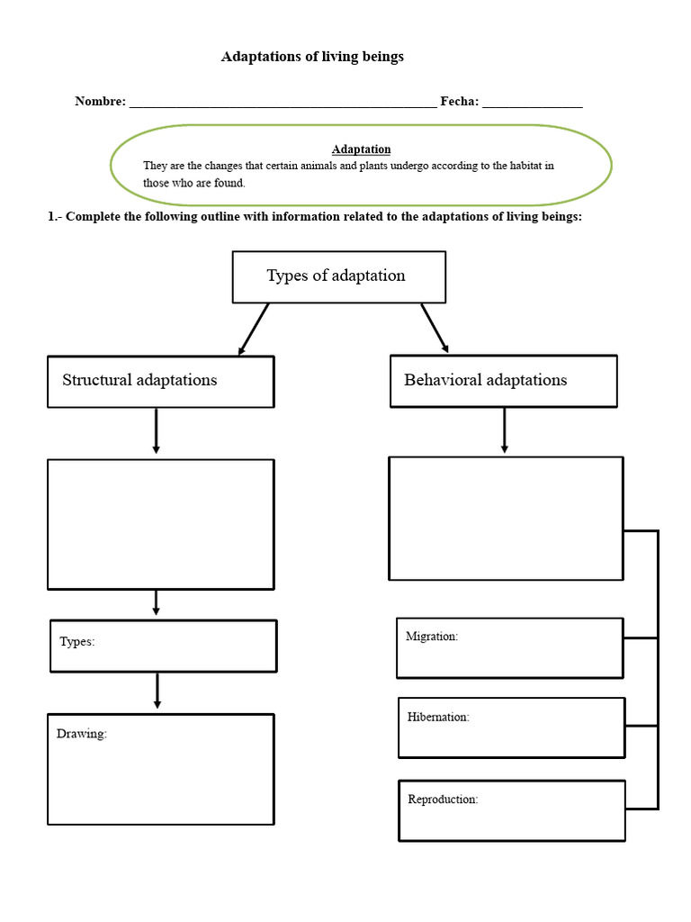 GuÃ_a adaptations of living beings 4th basic (1).pdf | PDF | Adaptation ...