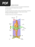 Brain Anatomical Directional Terms | PDF