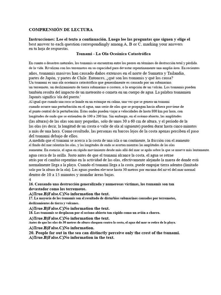 Comprensión Lectora | PDF | Tsunami | Mar