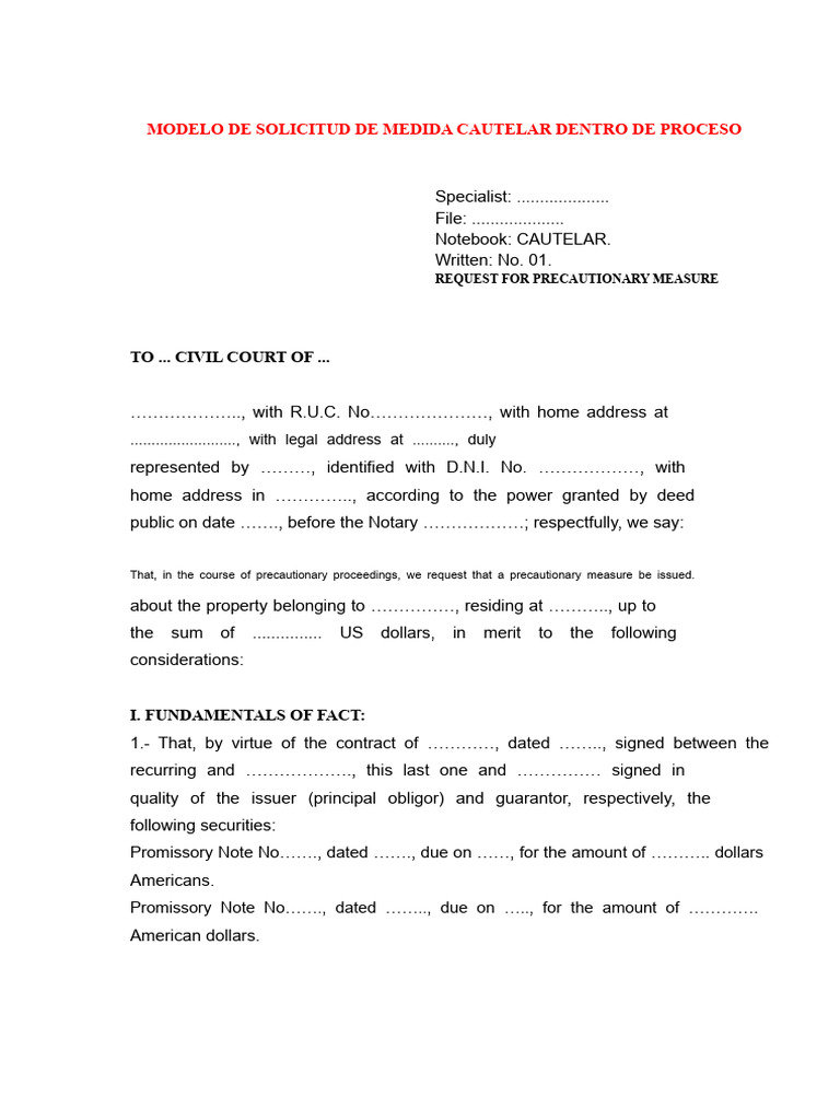 Model of Request For Precautionary Measure Within Process | PDF ...