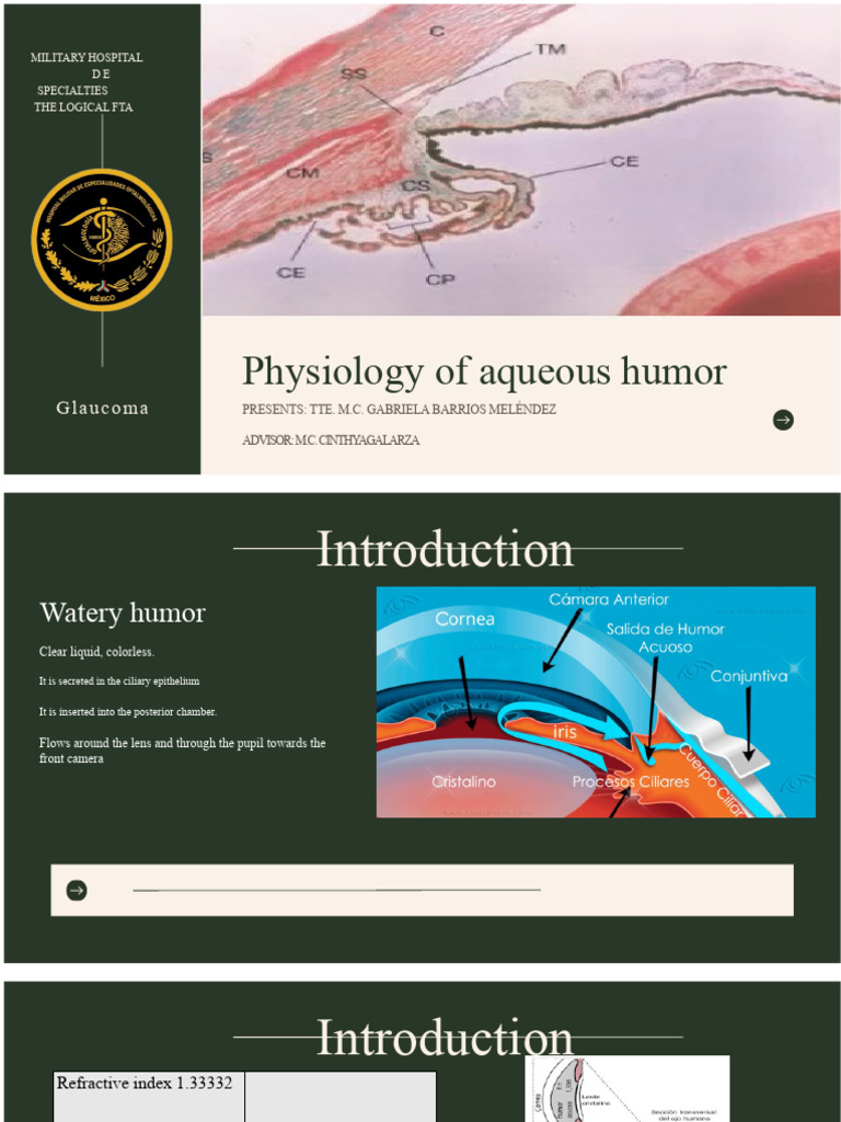 Aqueous Humor: Physiology and Dynamics | PDF | Ophthalmology | Human Eye