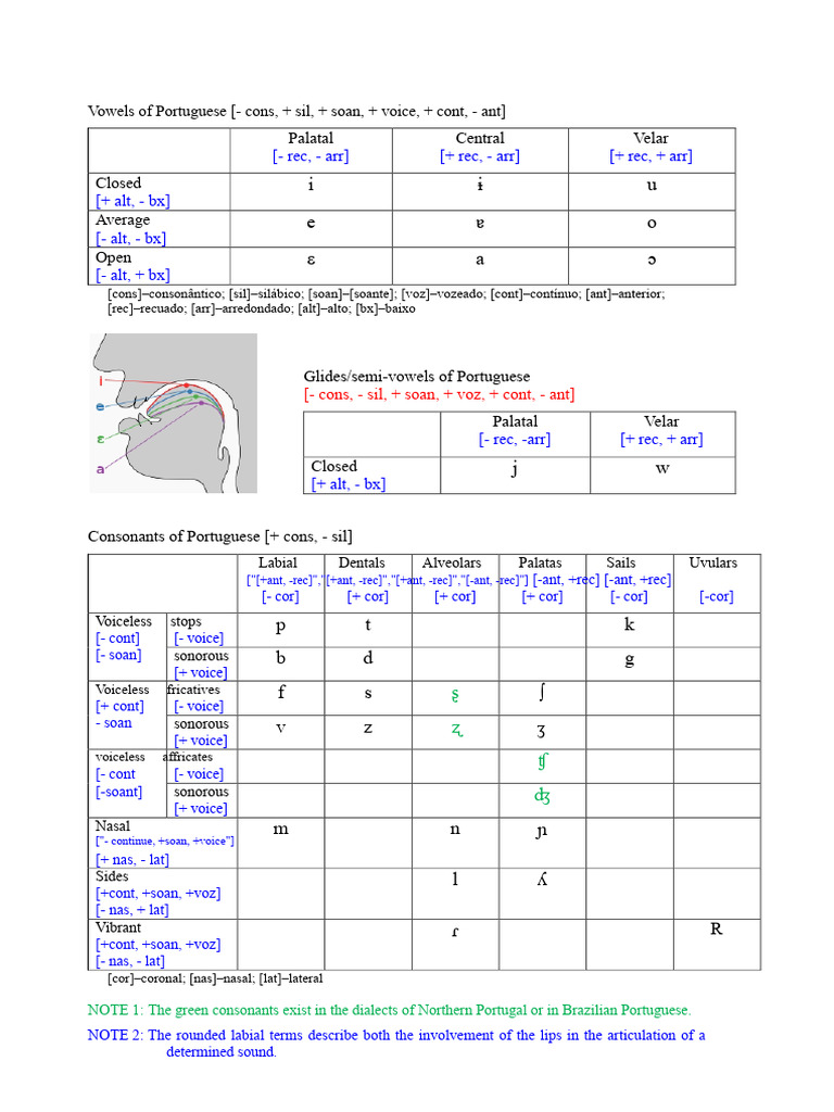 Portuguese Vowel and Consonant Chart | PDF | Consonant | Phonetics