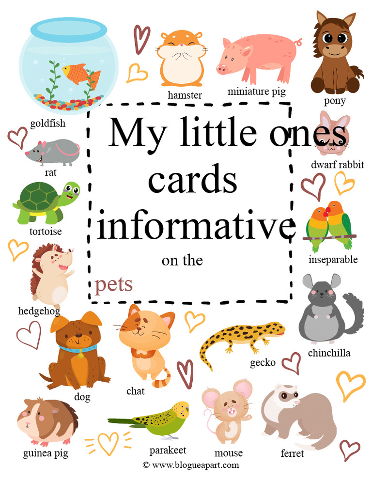 My Little Pet Animal Cards 2 | PDF | Rabbit | Rodent
