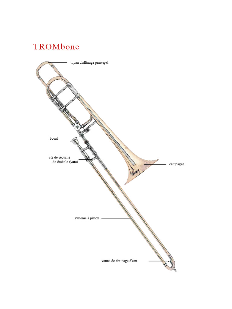 Apprendre le Trombone : Techniques et Sons | PDF | Trombone | Musicologie