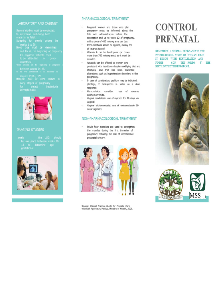 Prenatal Control Brochure | PDF | Pregnancy | Prenatal Development