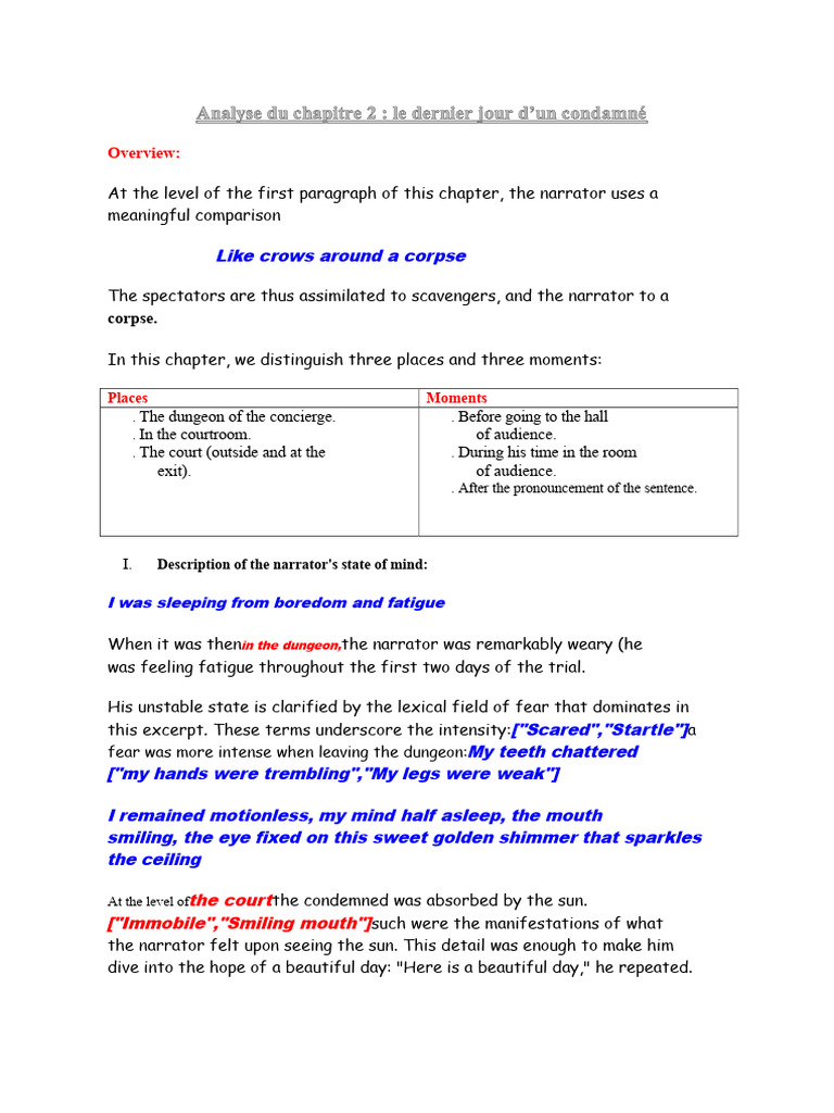 Narrator's Despair in Courtroom Scene | PDF
