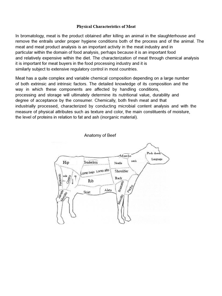 Meat Physical Characteristics Overview | PDF | Meat | Pork