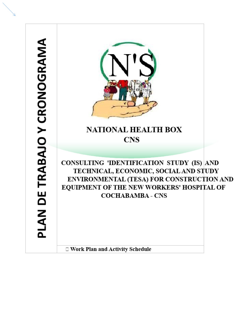 Hospital Work Plan Example | PDF | Economics | Methodology