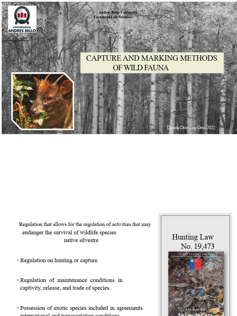 Wildlife Capture and Marking Methods | PDF | Hunting | Cetacea