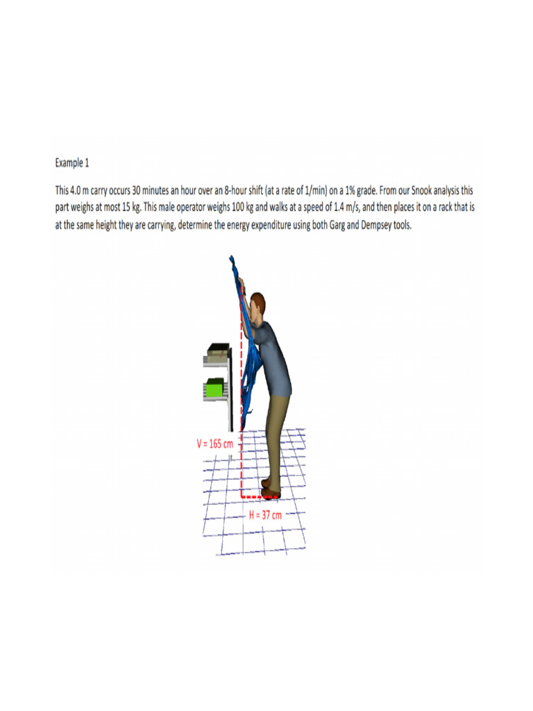 2024 Metabolic Examples and Answers | PDF