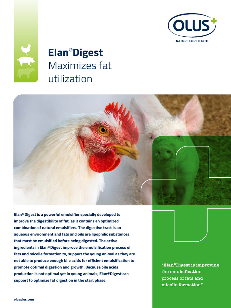 Optimize Fat Digestion with Elan®Digest | PDF | Digestion | Fat