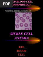 Red Cell Morphology | PDF | Red Blood Cell | Anemia