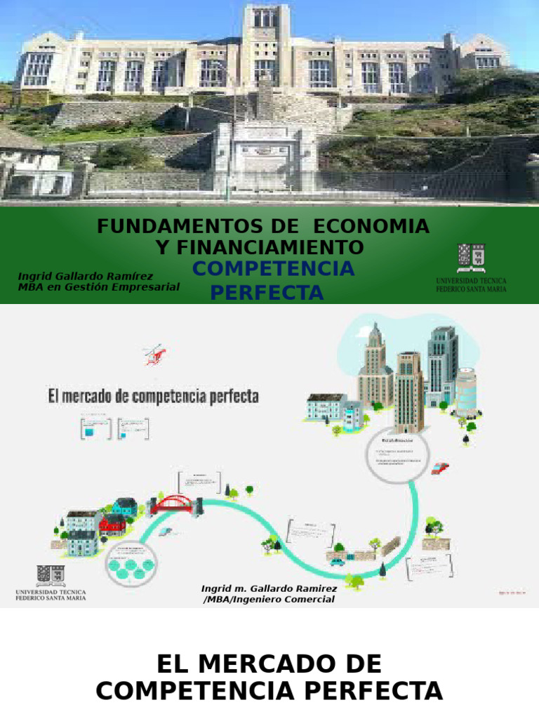 Características de la Competencia Perfecta | PDF | Mercado (economía ...
