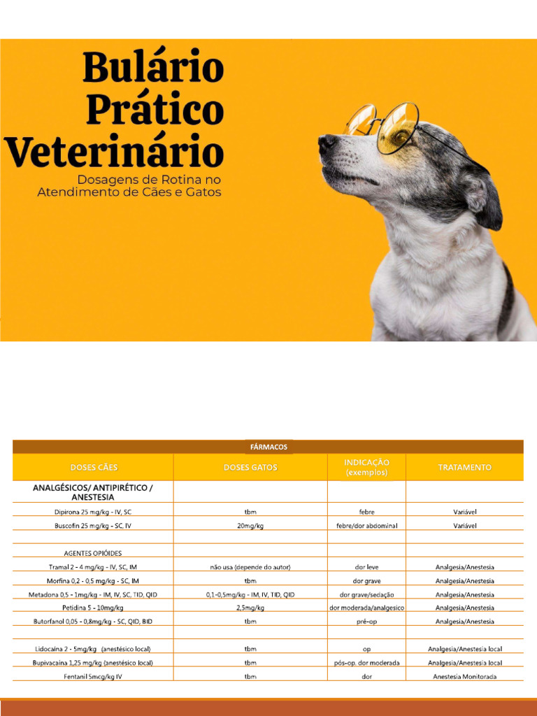 Bulário | PDF