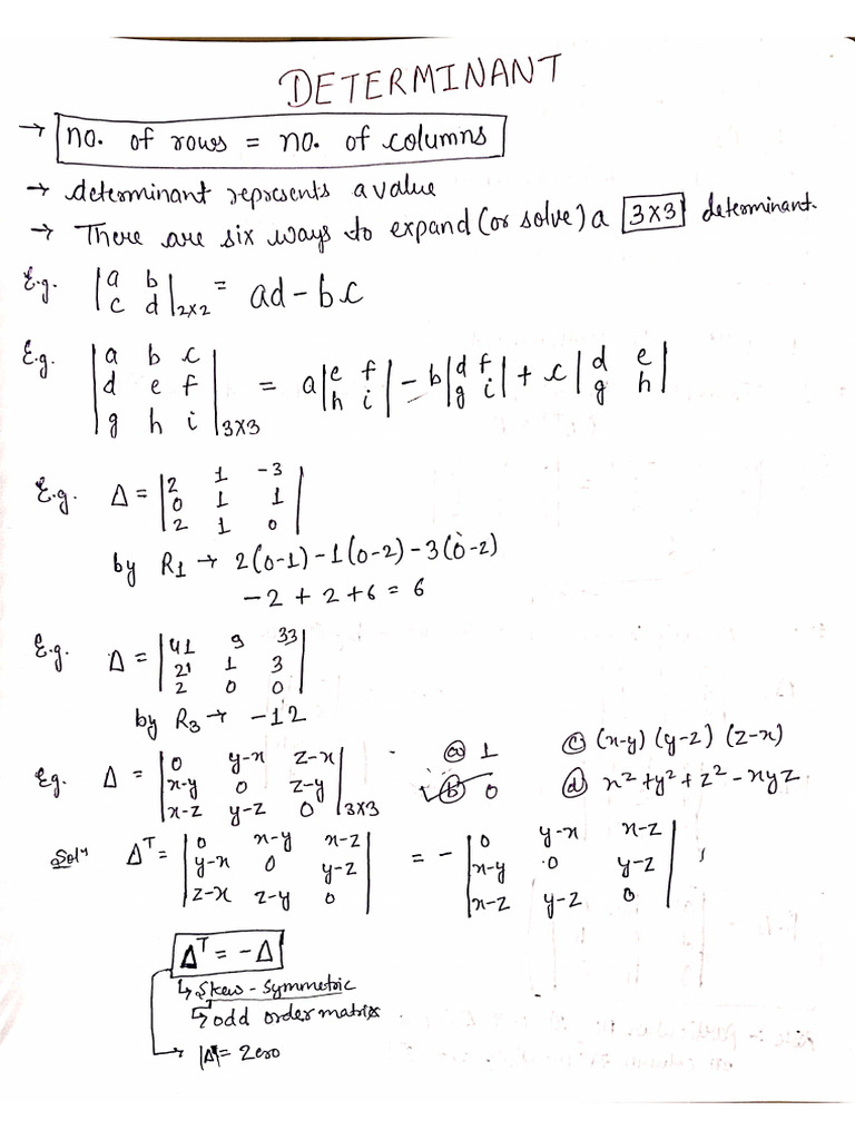 DETERMINANT | PDF