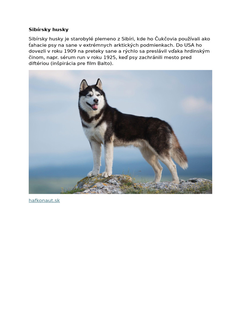 Sibírsky Husky | PDF