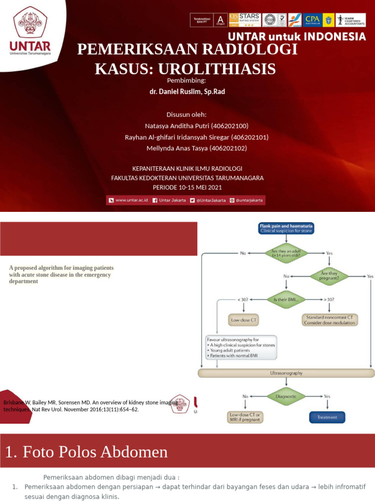 Pemeriksaan Radiologi Urolithiasis | PDF