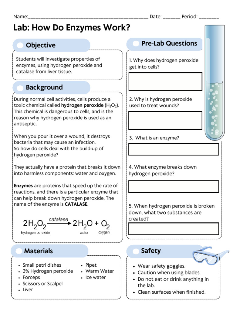Enzyme Lab Bio1 | PDF | Catalase | Hydrogen Peroxide