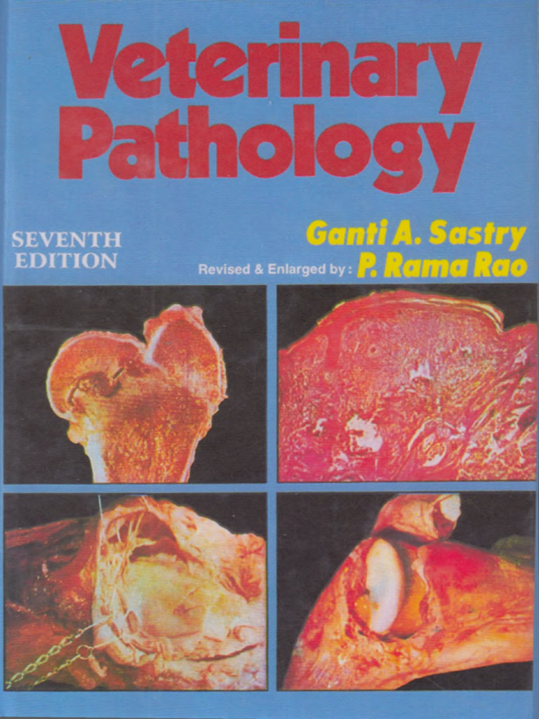 Veterinary Pathology: Seventh Edition | PDF | Heart | Heart Valve