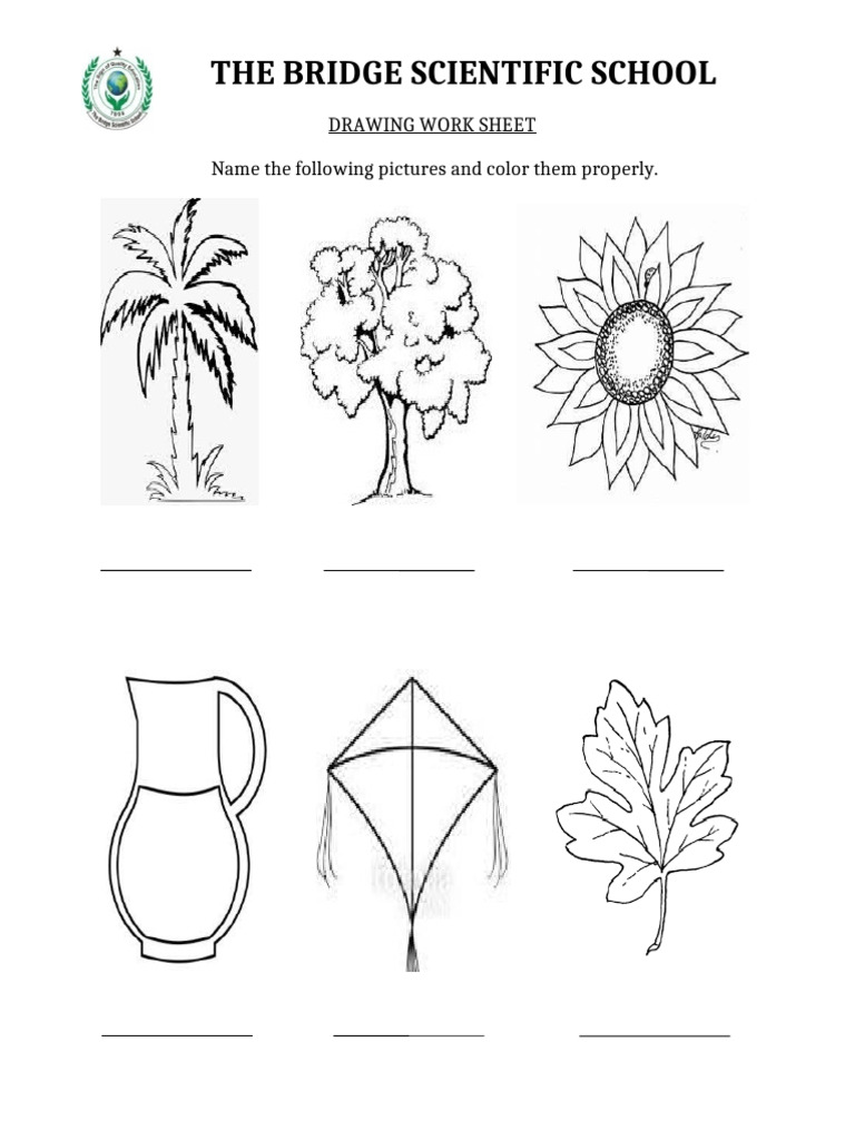 Drawing Worksheet P.G & NUR | PDF
